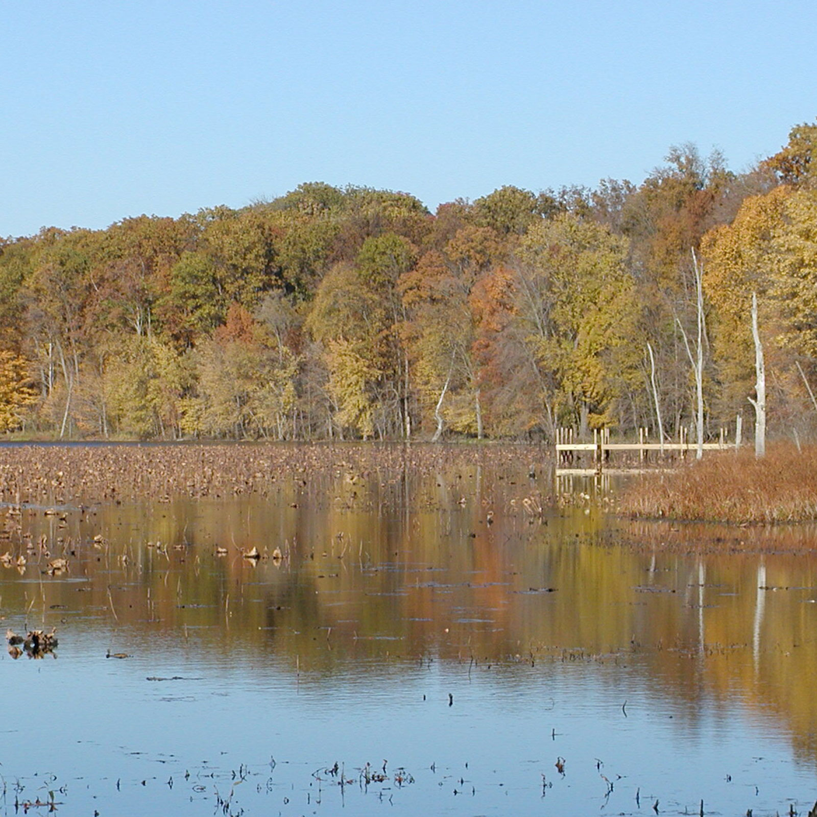Clean Water Indiana – Conservation Law Center