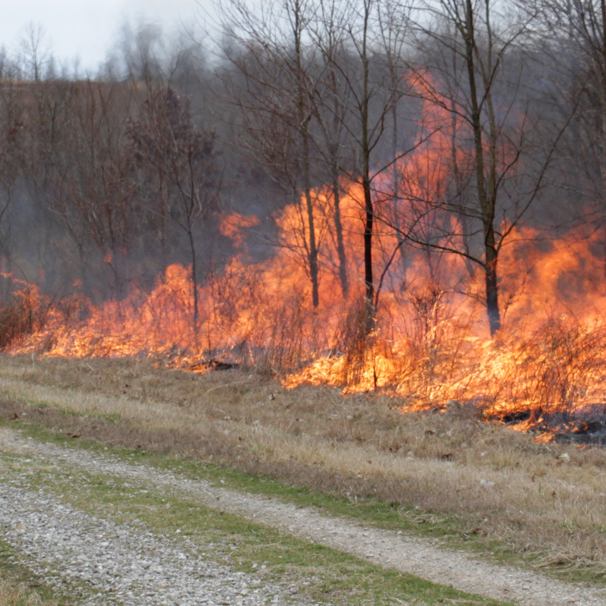Ready-Set-Fire – Conservation Law Center
